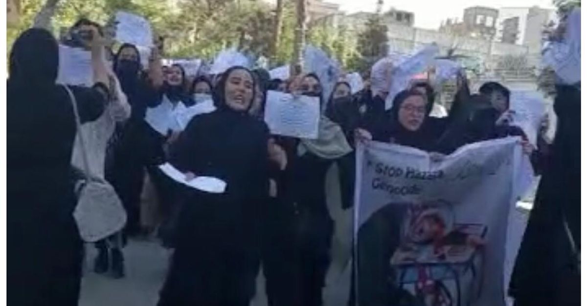تحصیل حق ماست؛ دانشجویان دانشگاه هرات راهپیمایی به سوی دفتر والی را
